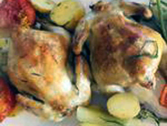 Roasted Cornish Hens with Fennel and Rosemary in an Orange Sauce ...