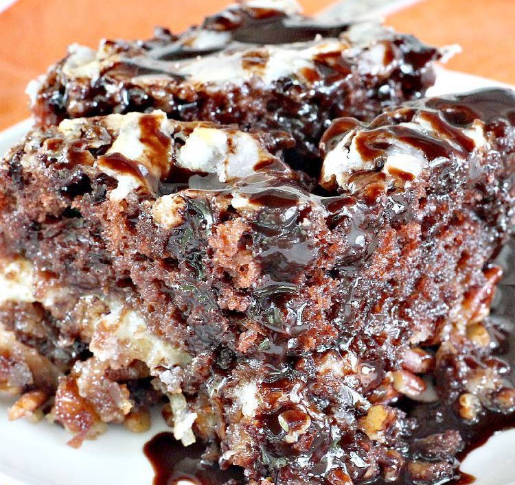 Earthquake Cake and The Richter Scale – Welcome to Rosemarie's Kitchen