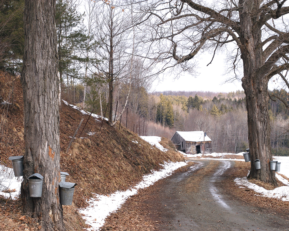 The Flavors of Vermont – Welcome to Rosemarie's Kitchen