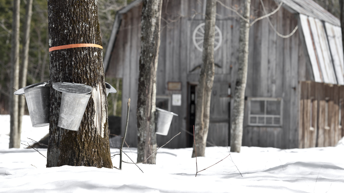 The Flavors of Vermont – Welcome to Rosemarie's Kitchen