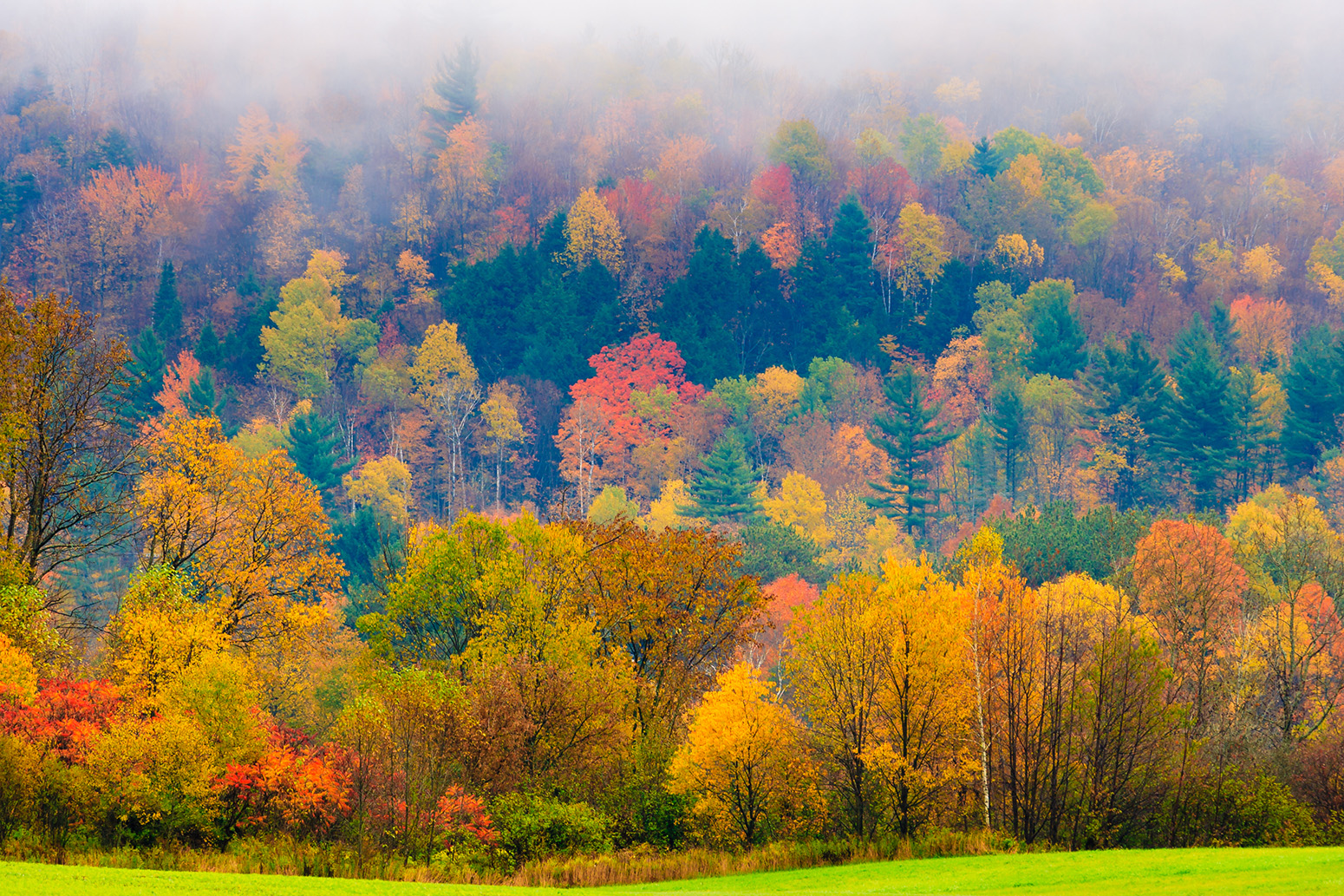 The Flavors of Vermont – Welcome to Rosemarie's Kitchen