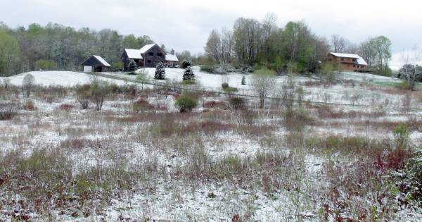 Welcome to the Pine Tree State – Welcome to Rosemarie's Kitchen