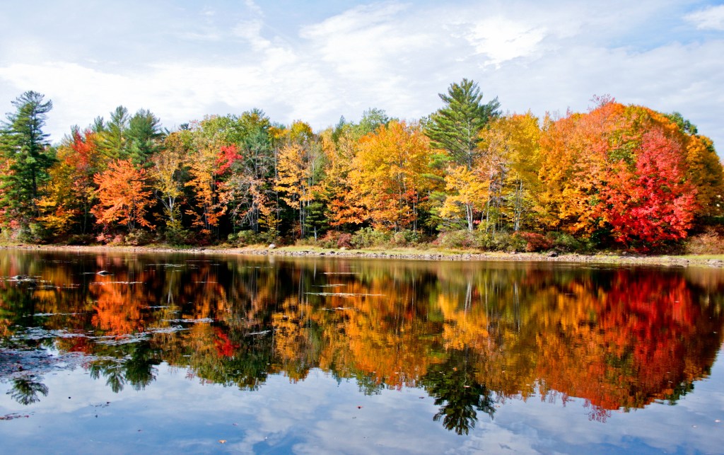Welcome to the Pine Tree State – Welcome to Rosemarie's Kitchen