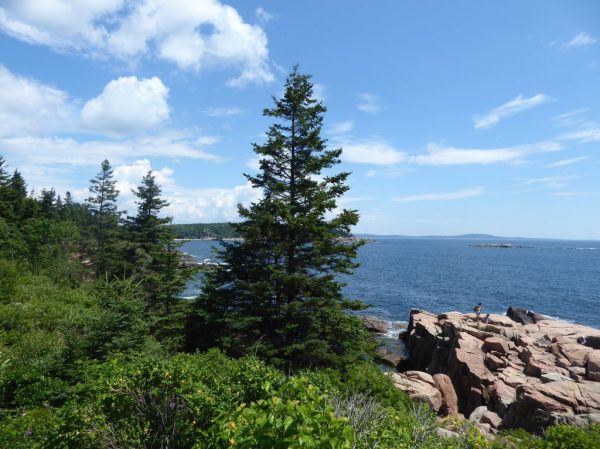 Welcome to the Pine Tree State – Welcome to Rosemarie's Kitchen