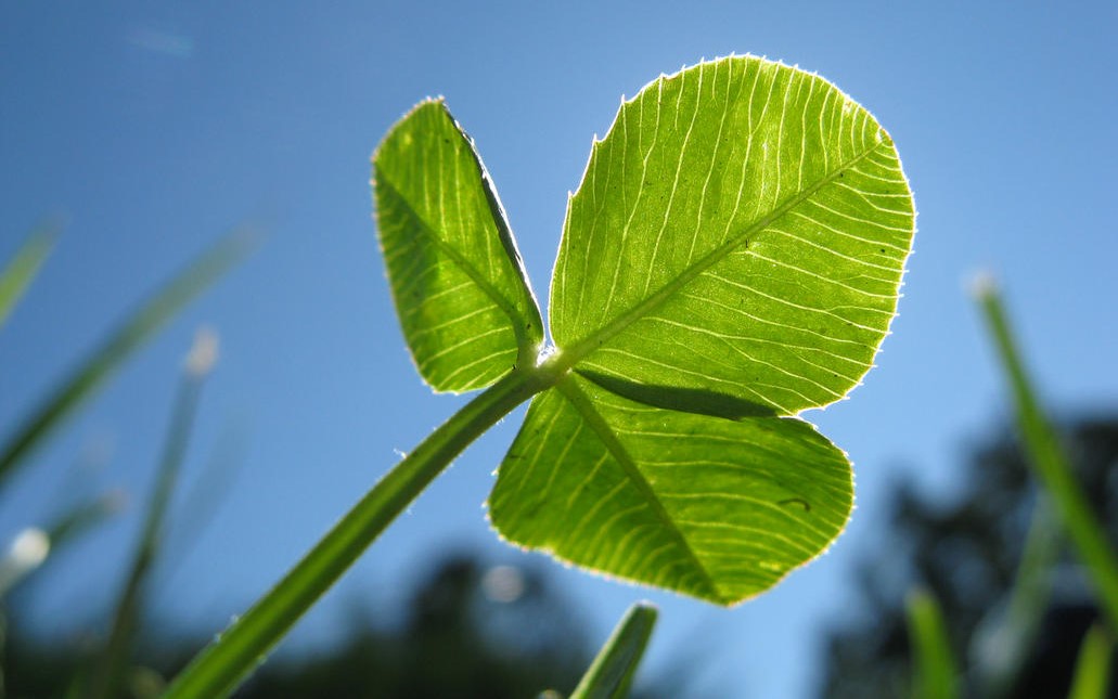 The Simplicity of Holy Trinity Sunday – Welcome to Rosemarie's Kitchen