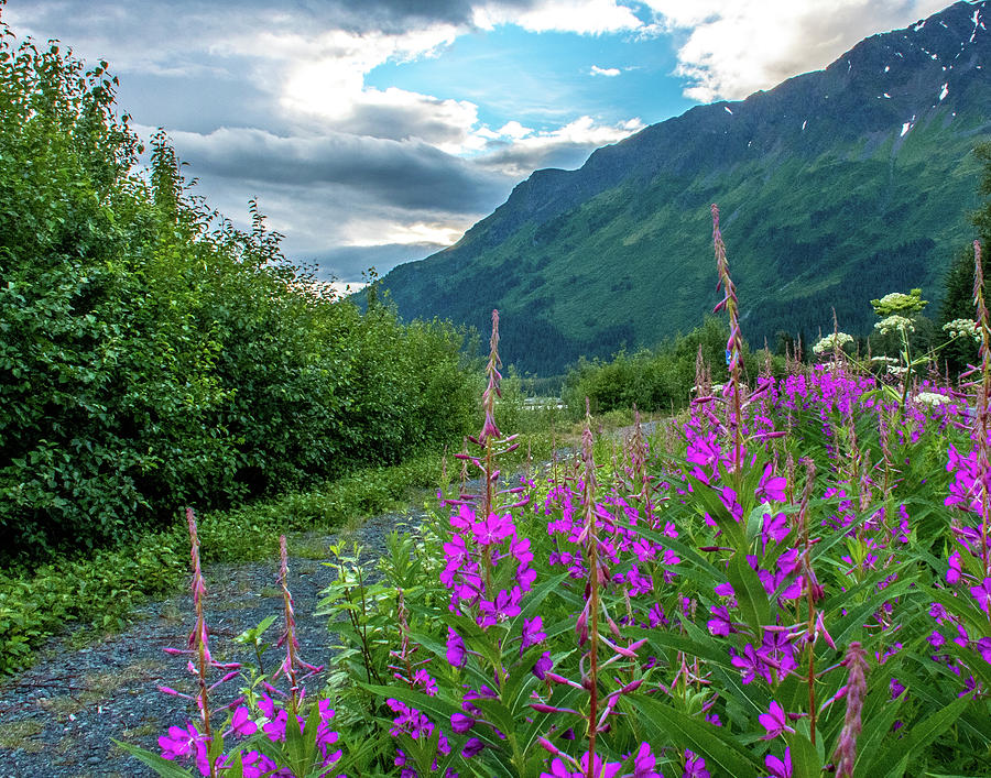 Alaska – The Last American Frontier – Welcome to Rosemarie's Kitchen