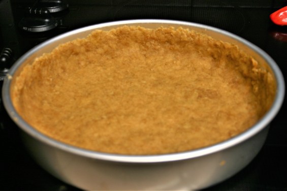 Instant Potato Flake Spicy Taco Pie – Welcome to Rosemarie's Kitchen