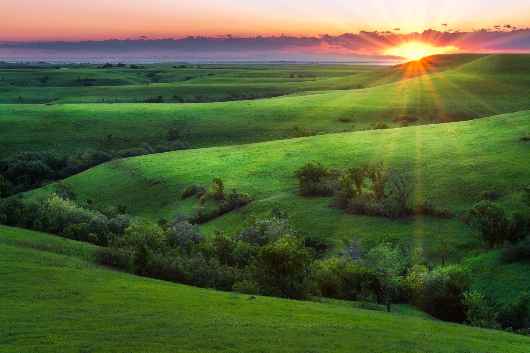 Ember Days of Spring and Sandwiches for Supper – Welcome to Rosemarie's ...