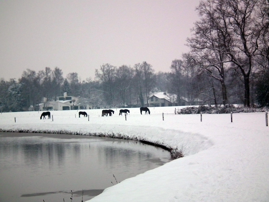 Let the Ember Days of Advent Begin – Welcome to Rosemarie's Kitchen